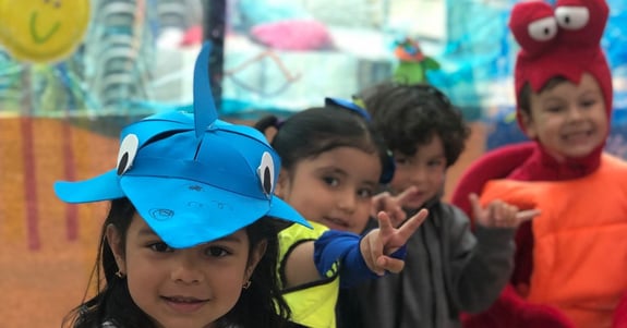 Niveles de aprendizaje en Innova Schools Colombia